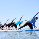 All Holt Products – ROOSTER UK